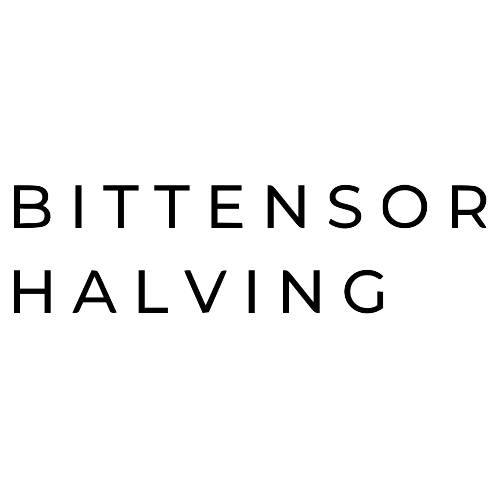 Bittensor Halving